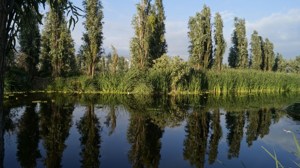 Recorrido en Chinampas de Tláhuac: experiencia fascinante – Blog de ...